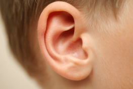 Découvrez l'angine de Vincent : symptômes, causes et traitements ...